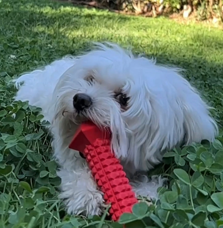 Safe Natural Chew Toys for Dogs | tomedogtoys.com – TOME DOG TOYS
